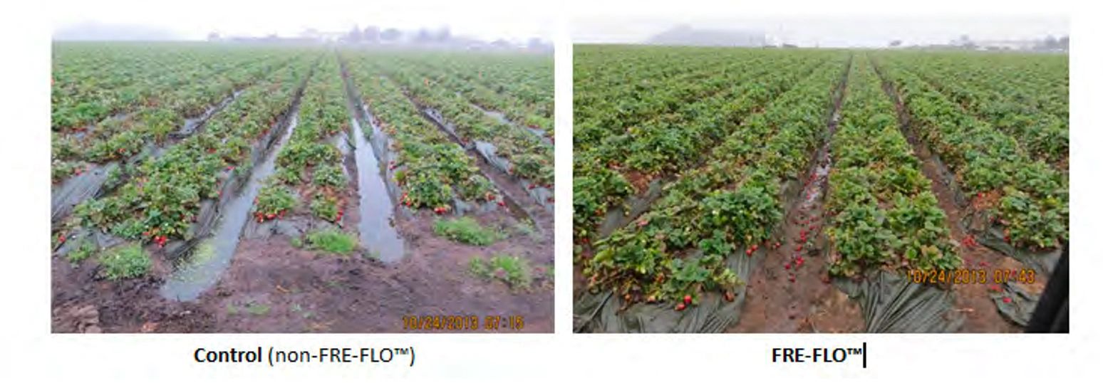 Intro to the FRE-FLO™ Water Conditioner